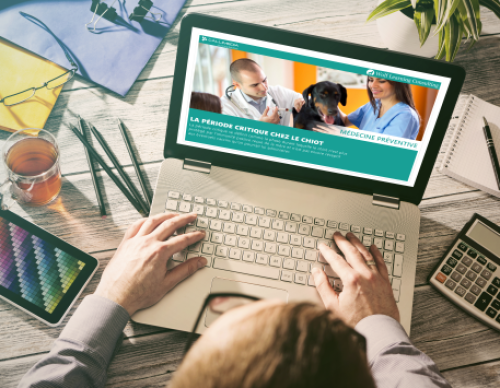 Conception de modules e-learning sur mesure